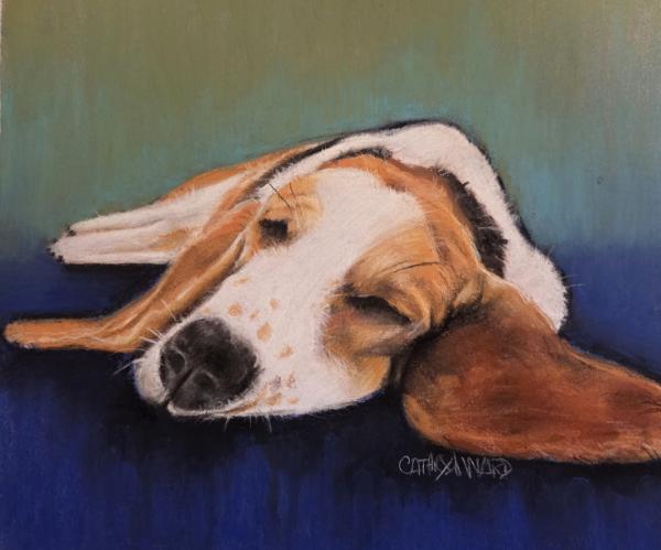Nap Time (pastel) - Cathryn A. Ward - Artist